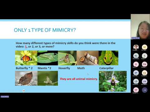 Insight into Animal Mimicry
