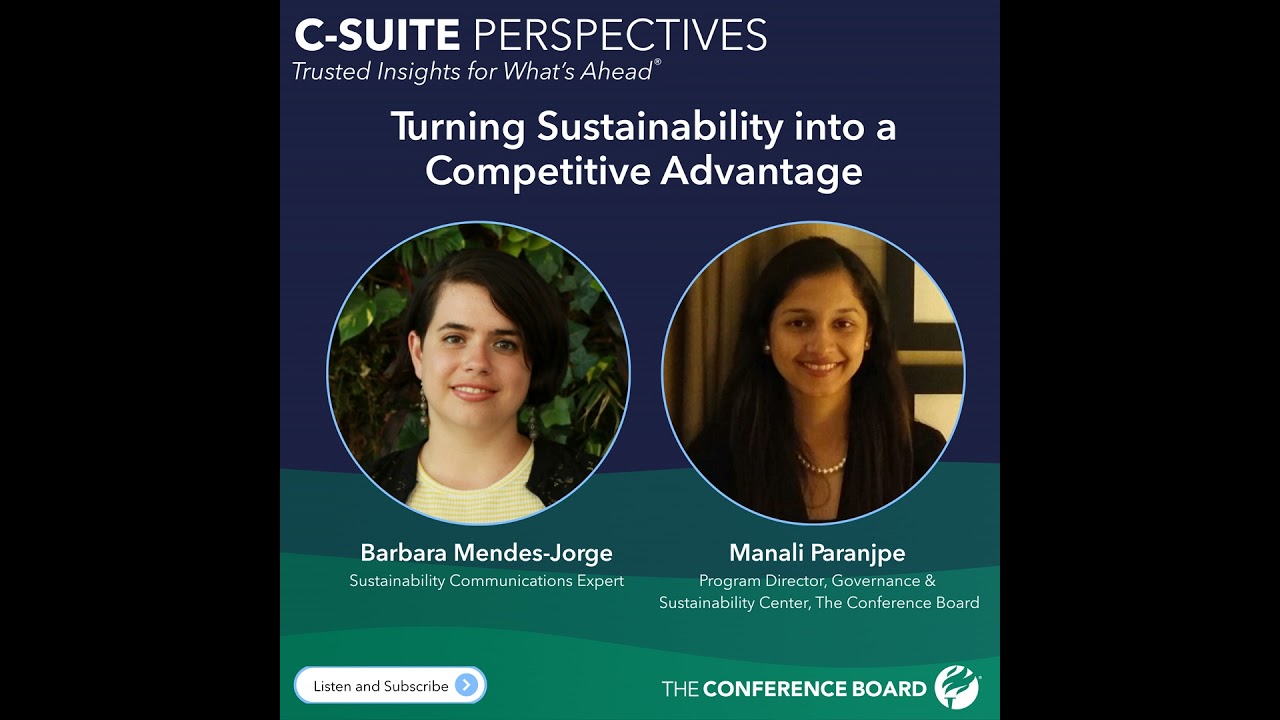 Turning Sustainability into a Competitive Advantage
