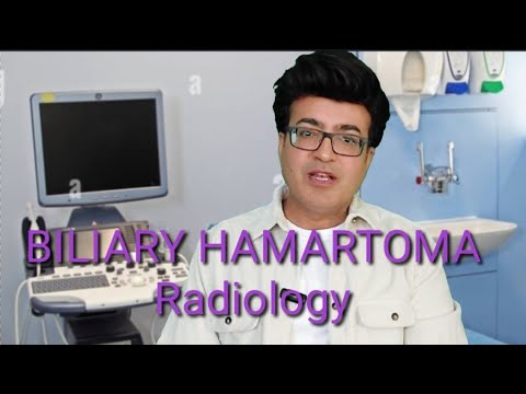 Biliary Hamartoma on Ultrasound and CT images
