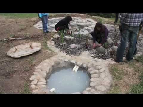 Building a Bio-Filter (Greywater Recycling System)