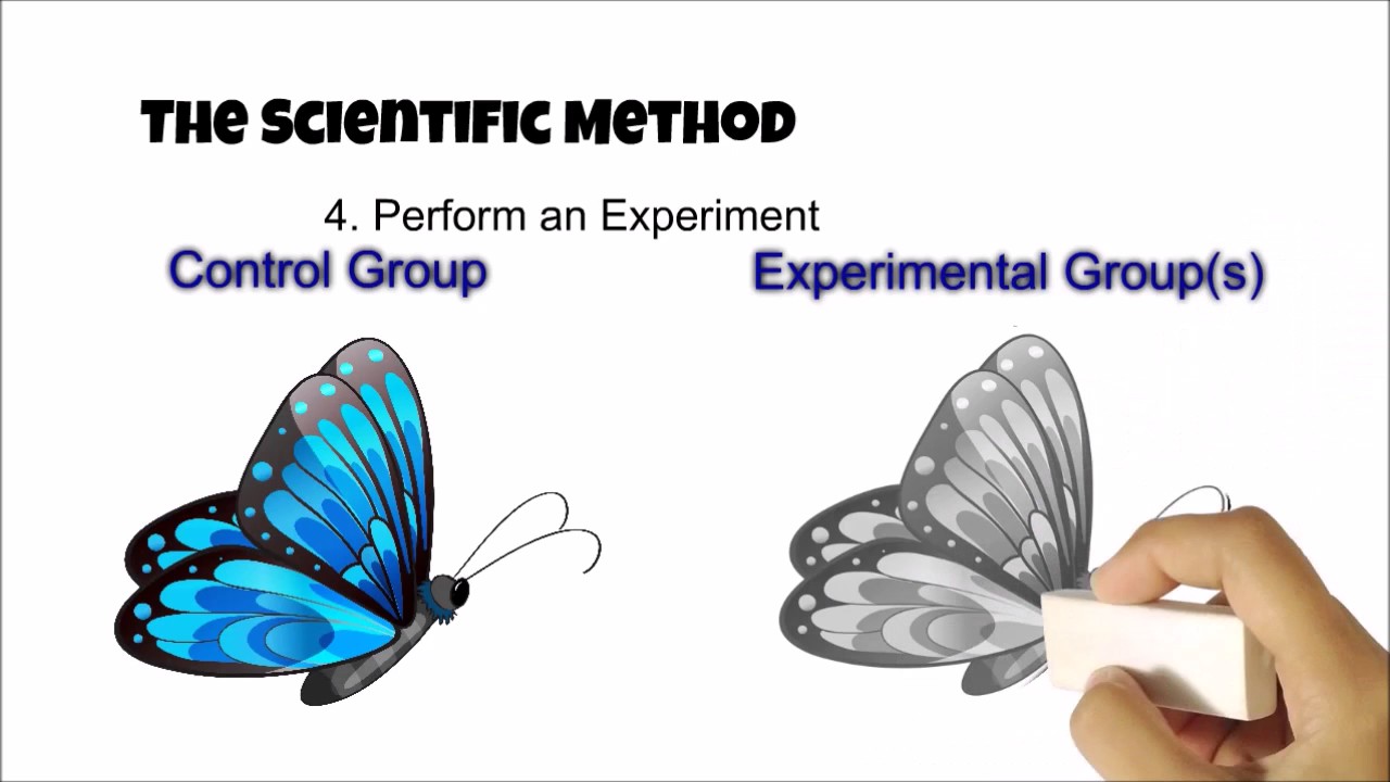 The Scientific Method - Review the Basics: Test yourself! Take the quiz in the description!