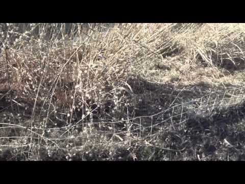 However, They Do Pose Some Health Risks, Especially When They Are Not ...