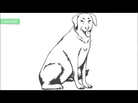 Top 25 Free Printable Dog Coloring Pages Online