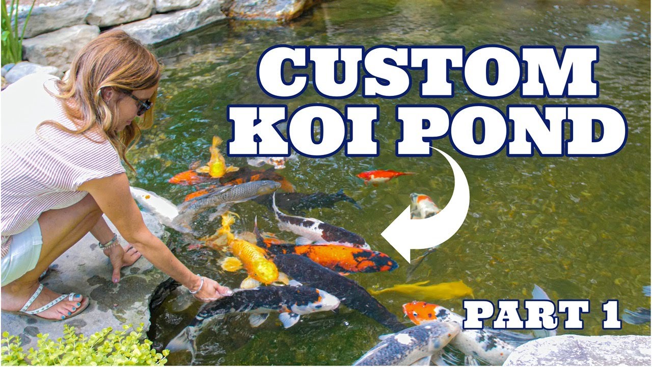 Custom Pond for LARGE KOI | part 1