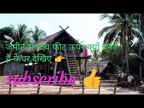 Stilt house 🏠 जमीन से 5 फीट ऊपर क्यों बनते हैं यह घर?