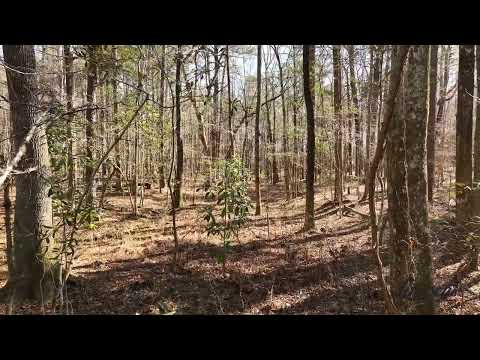 LAND - 0 Thomas Powers Road, Newnan, GA 30263