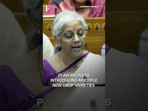 Union Budget 2024: India's Finance Minister Nirmala Sitharaman Unveils Agricultural Upgrades
