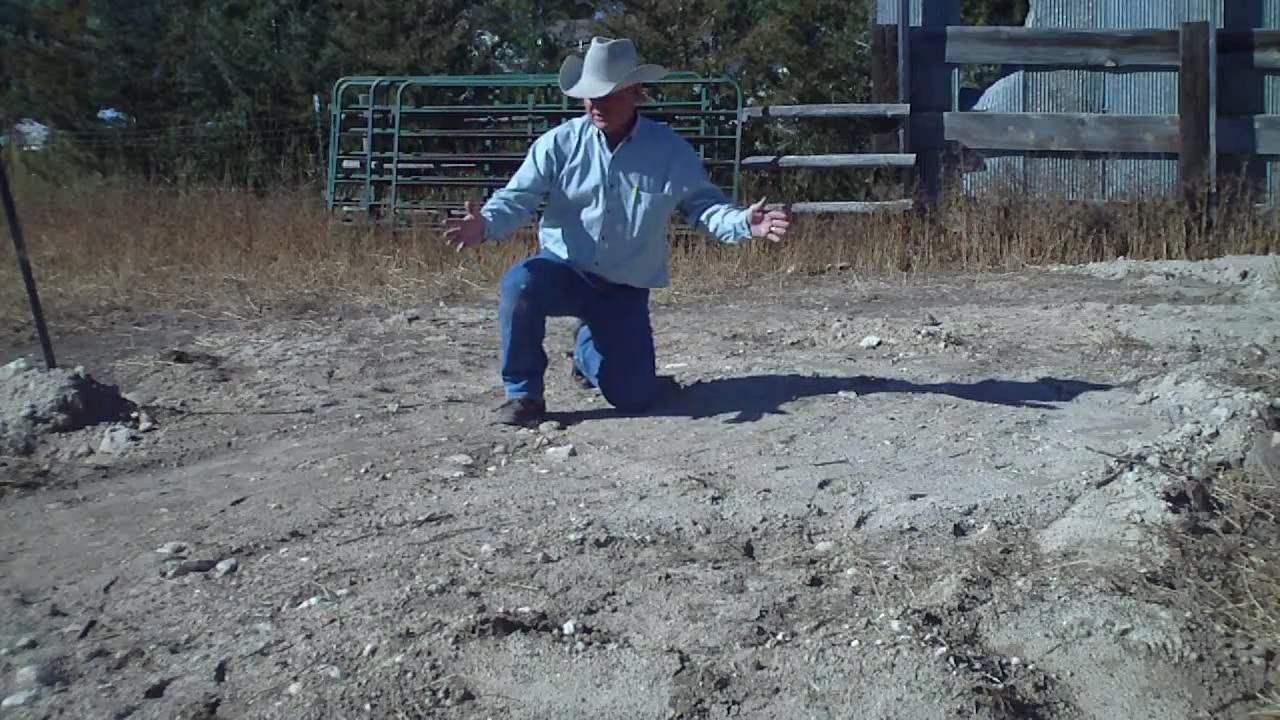 What Should I Plant - Part 8 - Drill or Broadcast.