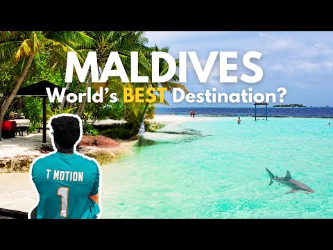 World’s Best Destination? | Maldives Travel Vlog 2024 #maldives #malé #travelvlog