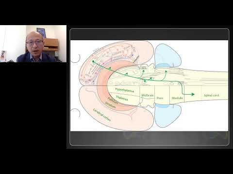 PANEL: Anatomical Characterization of Neuron Cell Types in the Mouse Brain
