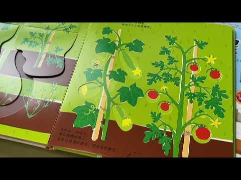 Funny sound books for kids