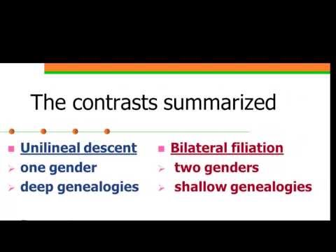 Unilineal descent compared to bilateral filiation
