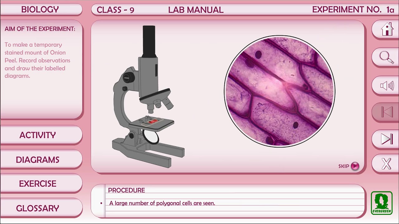 EVERGREEN PUBLICATIONS LAB MANUAL BIOLOGY 9 - MULTIMEDIA DEMO