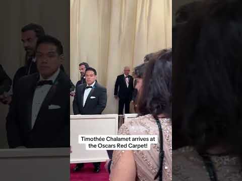 Timothée Chalamet at the Oscars Red Carpet!