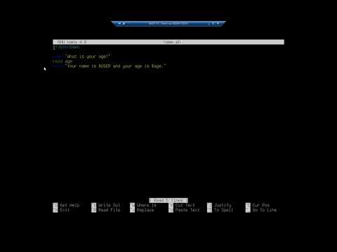 Introducing shell scripts in Ubuntu Server
