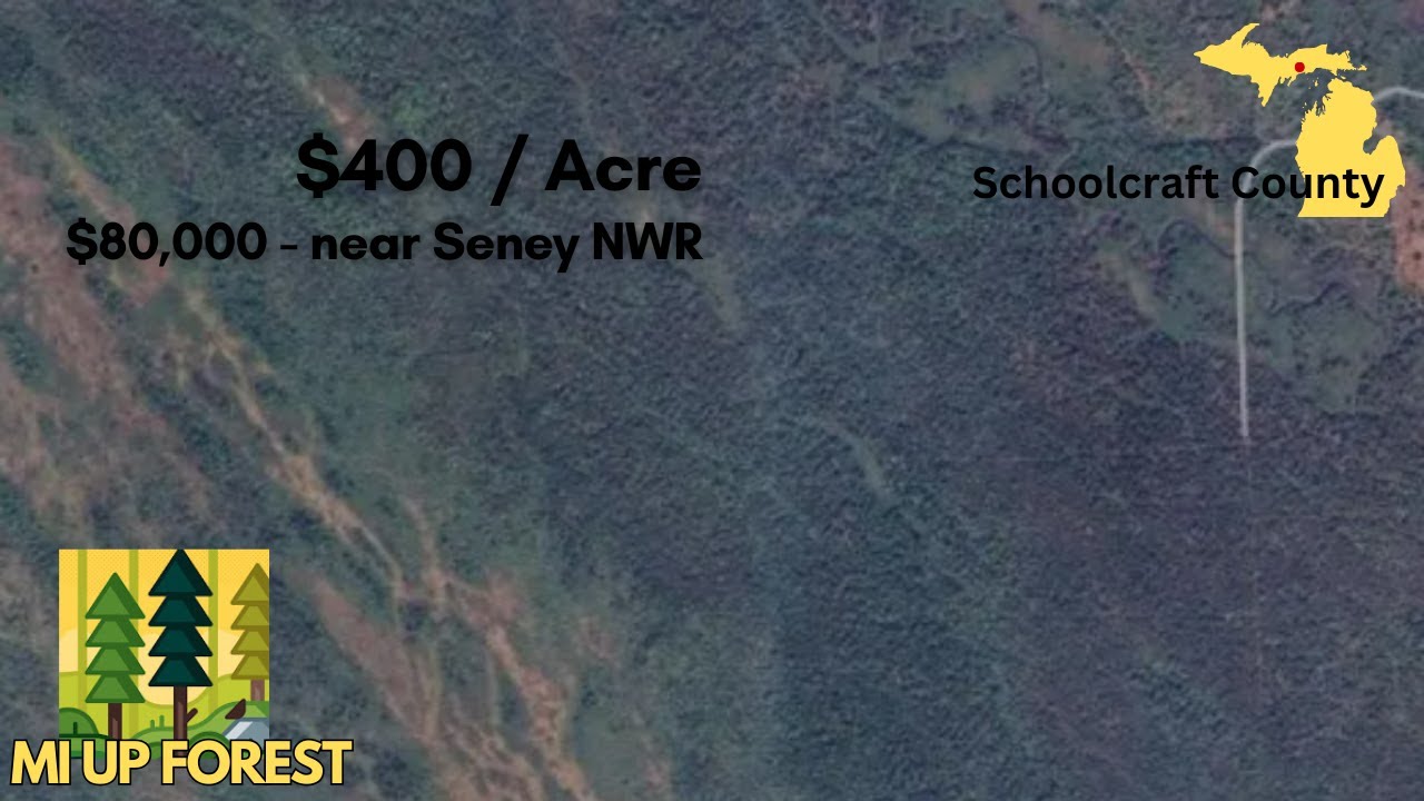 Cheapest Land in Michigan | $400 / Acre