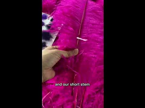 Pink ostrich feather 20 24inch
