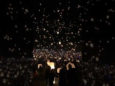 Lantern Festival Philadelphia, Light Fest 2019
