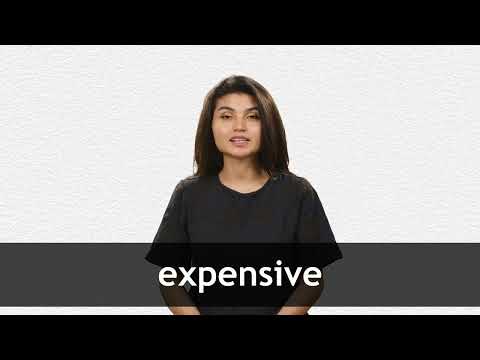 EXPENSIVE definition and meaning | Collins English Dictionary