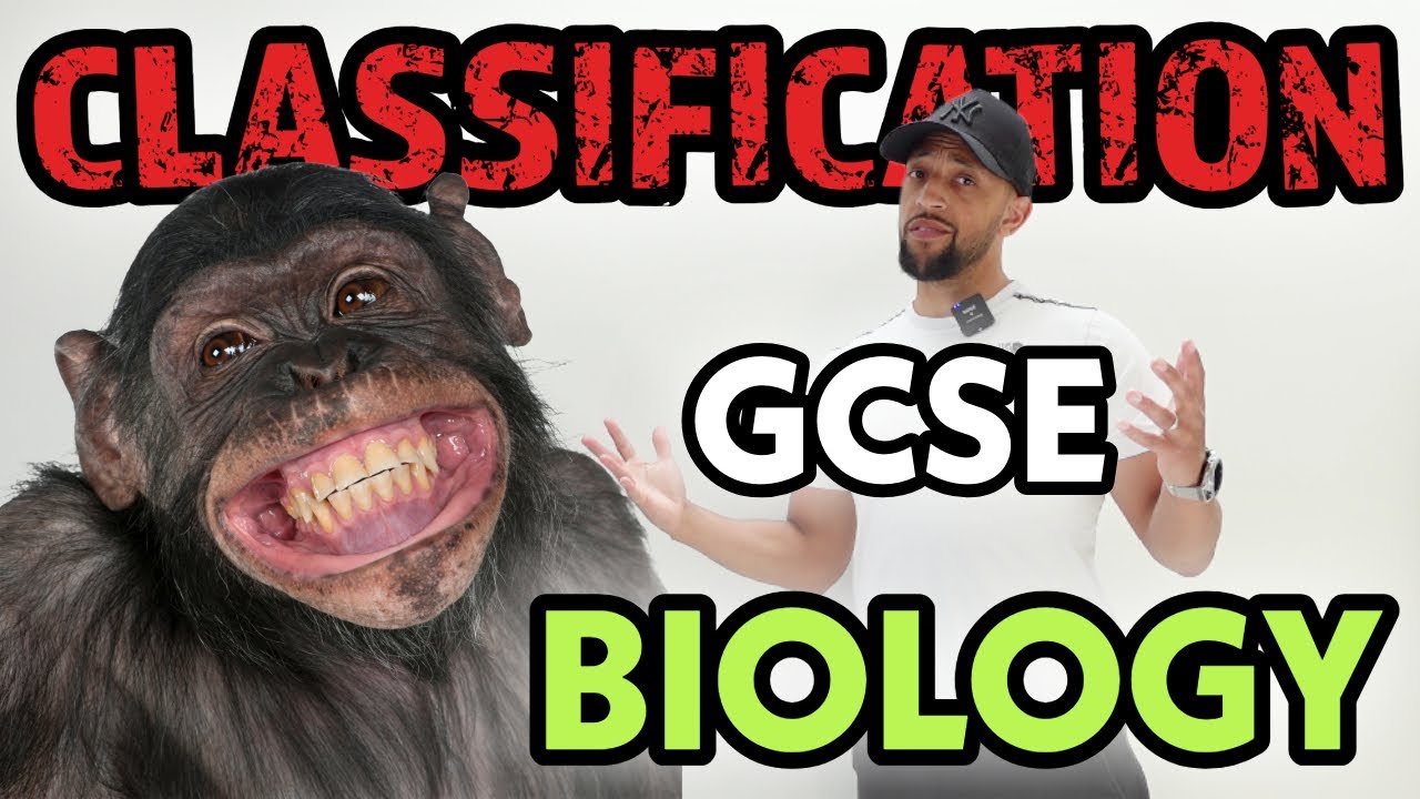GCSE Biology - Classification Rap