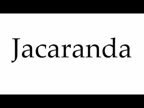 How to Pronounce Jacaranda