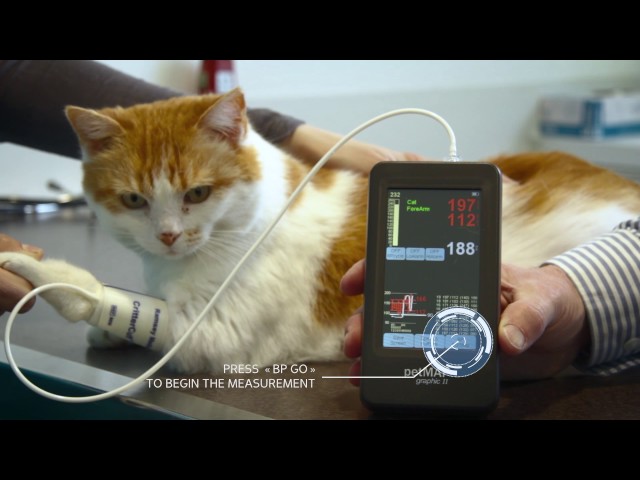 PetMap™ graphic II - Diagnostic, Veterinary Equipment | MANO MEDICAL