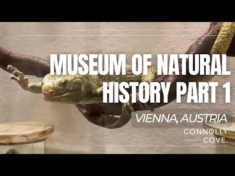 Museum of Natural History Part 1 | Vienna | Austria | Things To Do In Vienna