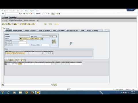 Oasis Technologies, Hyderabad: SAP ABAP, SAP FICO