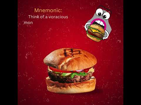 Voracious: Master Vocabulary for Exams with @trailheadvocabulary!