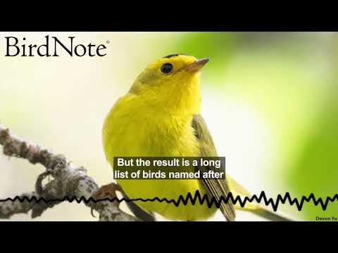 New English Names for Birds