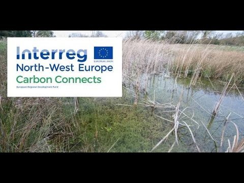 Peatland Restoration - An Overview