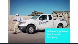 3 Best Pest Control Companies in El Paso, TX - ThreeBestRated