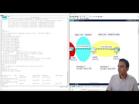 OSPF virtual links Practical example شرح عربي - الورشه