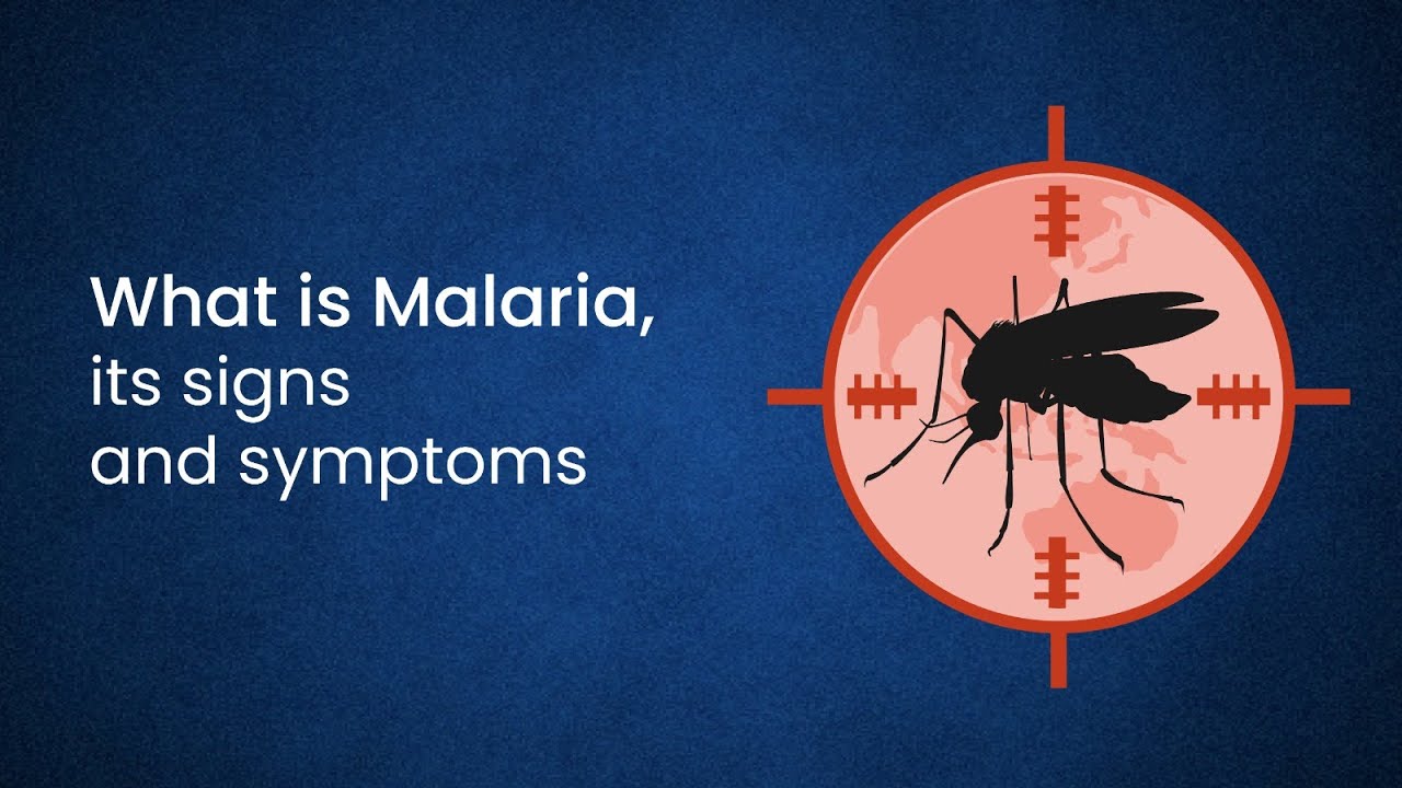 Malaria & its Symptoms I Apollo Diagnostics