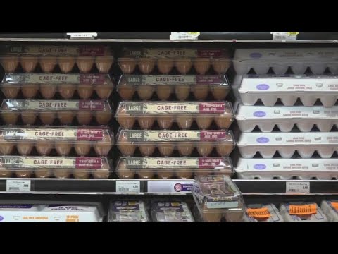 What do the words labeled on eggs mean? 'Hormone-free', 'Pasture raised', etc.?