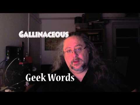 Geek Words 33 Gallinaceous
