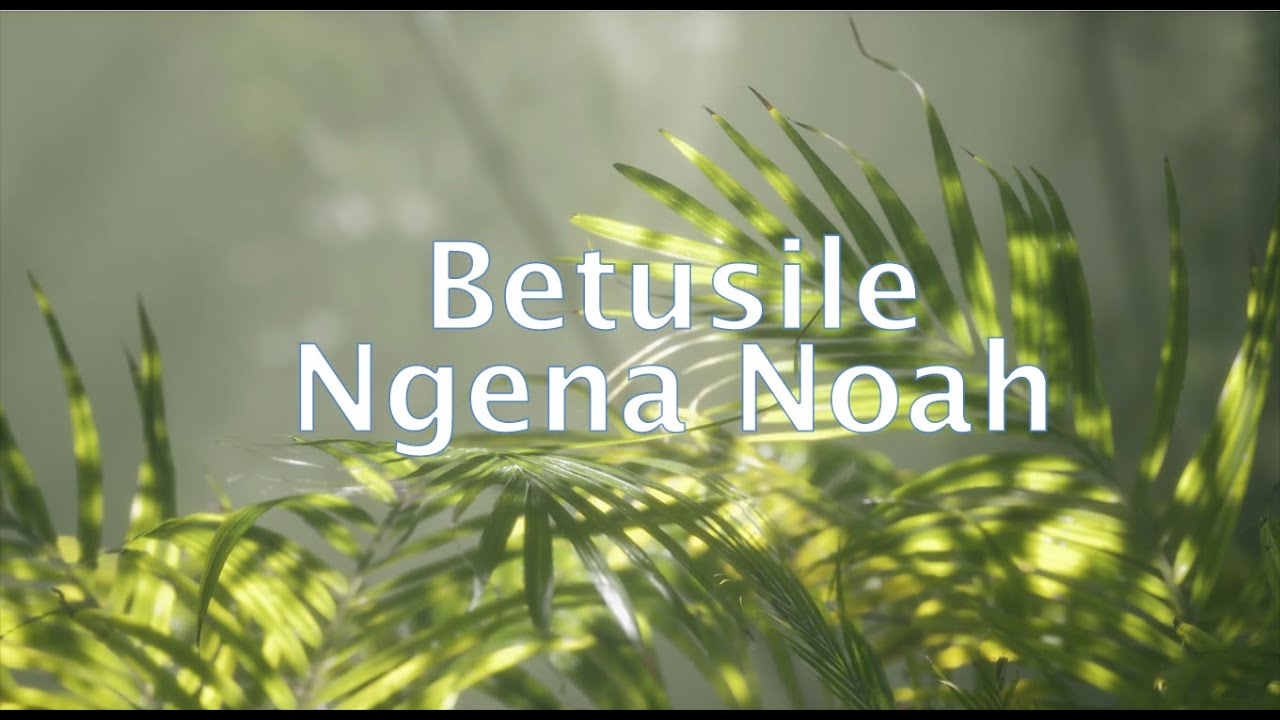 Lyrics & Translations of Ngena Noah by Betusile | Popnable