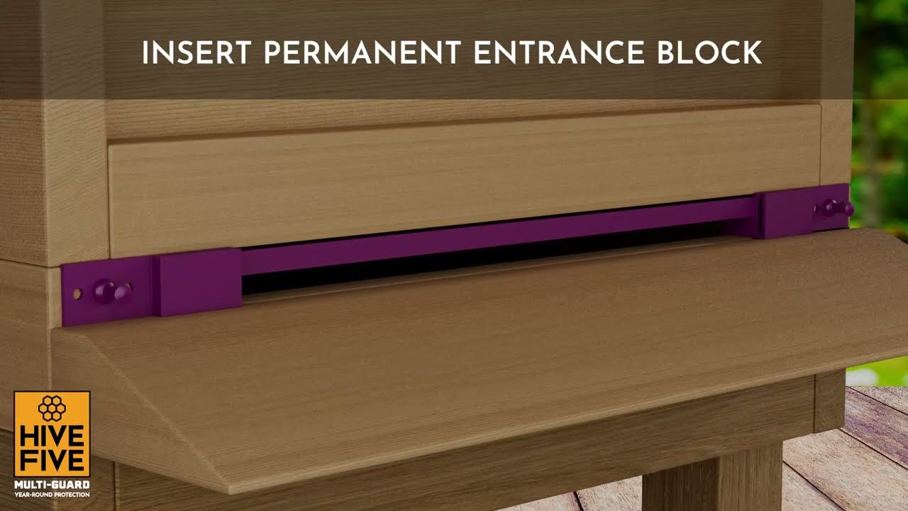 Hive-Five Multi-Guard