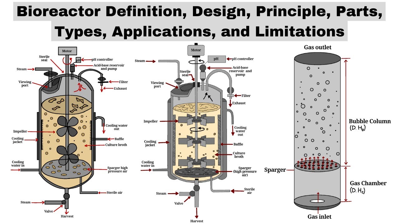 Bioreactors | Design, Principle, Parts, Types, Applications, & Limitations | Biotechnology Courses