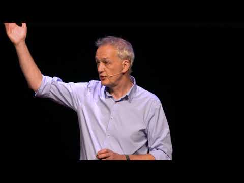 Why fish are food (not friends) | Geert Wiegertjes | TEDxWageningenUniversity