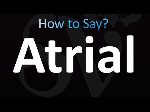 How to Pronounce Atrial (correctly!)