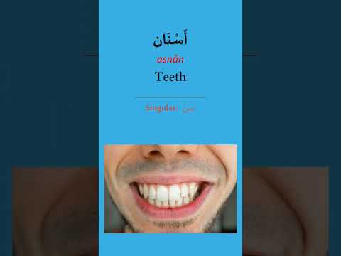Do you know the digestive tract in Arabic?Arabic vocab lists - #learnarabic #learn_arabic