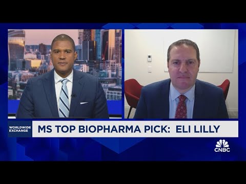Flynn: Eli Lilly could capture a significant part of a $100 billion market with Zepbound.