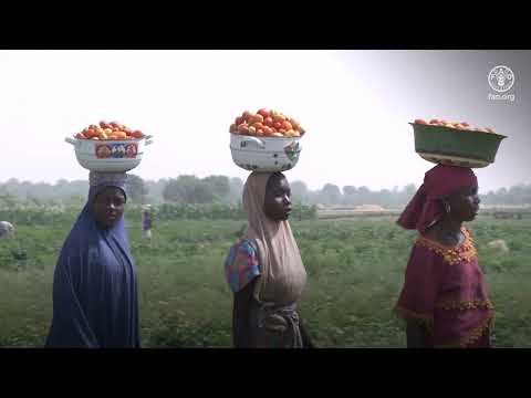 The FAO/WHO Food Control System Assessment Tool, strengthening countries’ food control systems