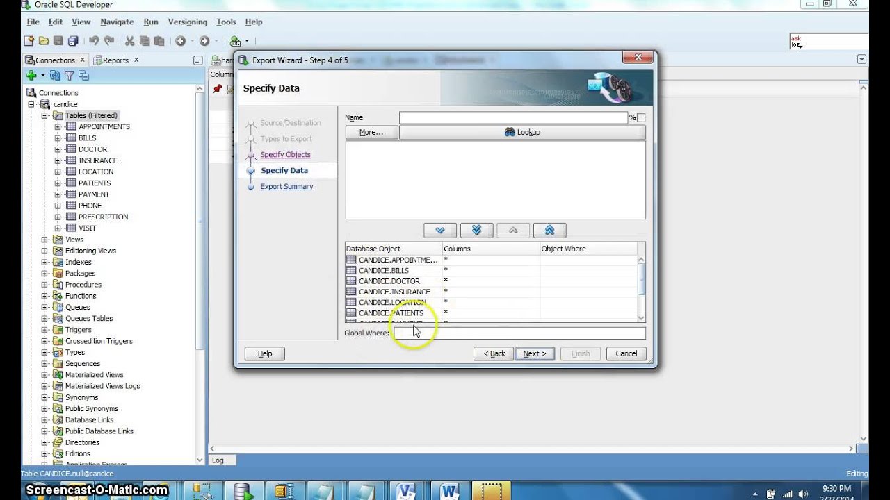 Oracle Database Script Export