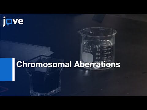 Chromosomal Aberrations Induced by Ambient Particulate Matter | Protocol Preview