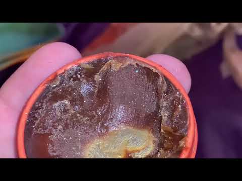 Prid Salve (crystallized?)