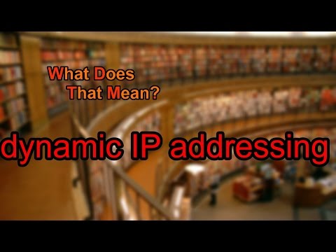 What does dynamic IP addressing mean?
