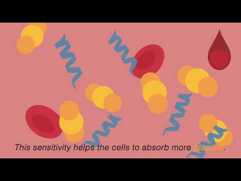 How does Type 2 Diabetes Work?
