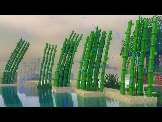 How does weather work in Minecraft?